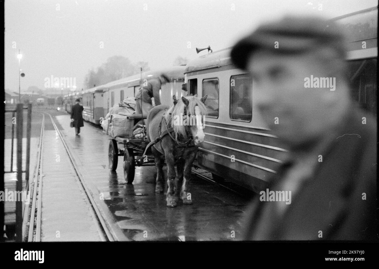 Goods handling at rail bus Stock Photo - Alamy