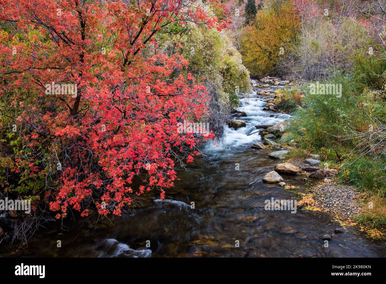 Uth river hi-res stock photography and images - Alamy
