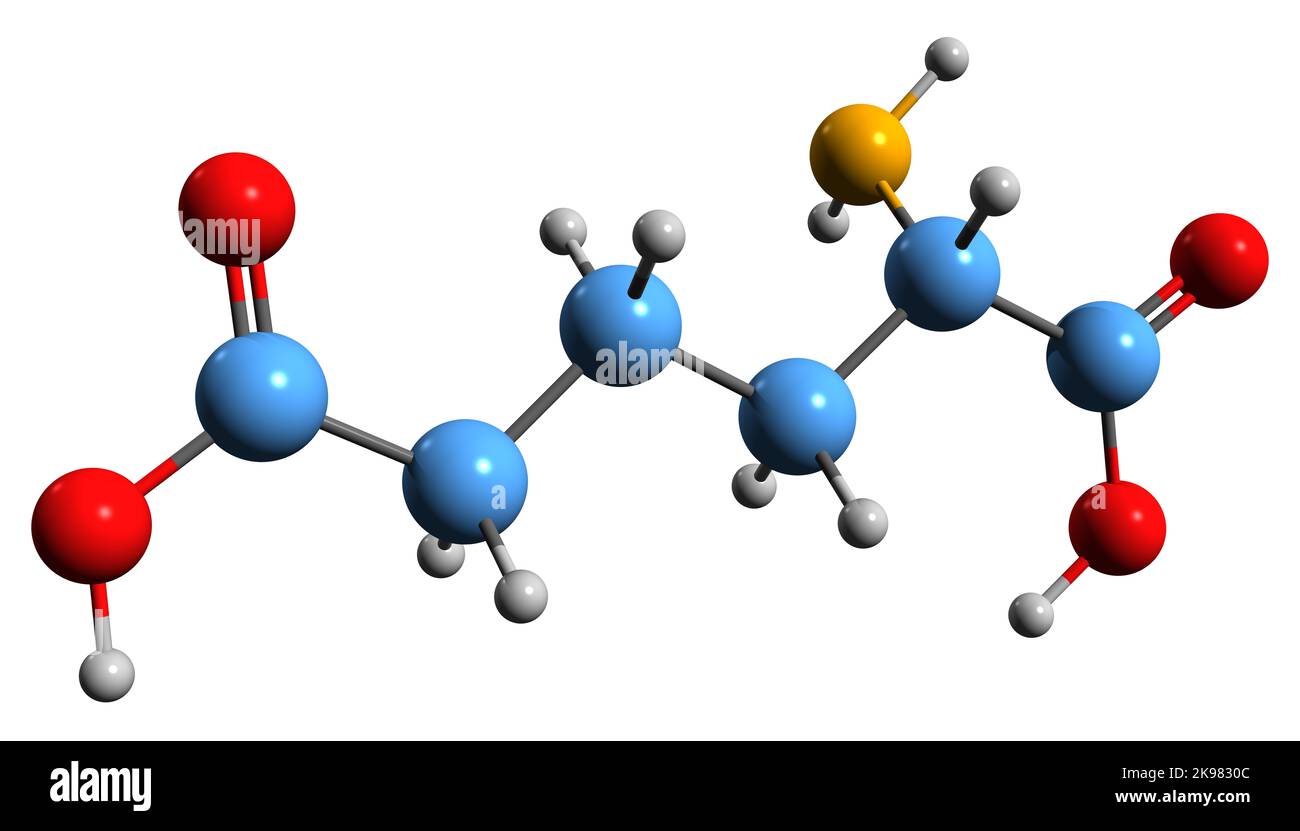 A aminoadipate pathway hi-res stock photography and images - Alamy