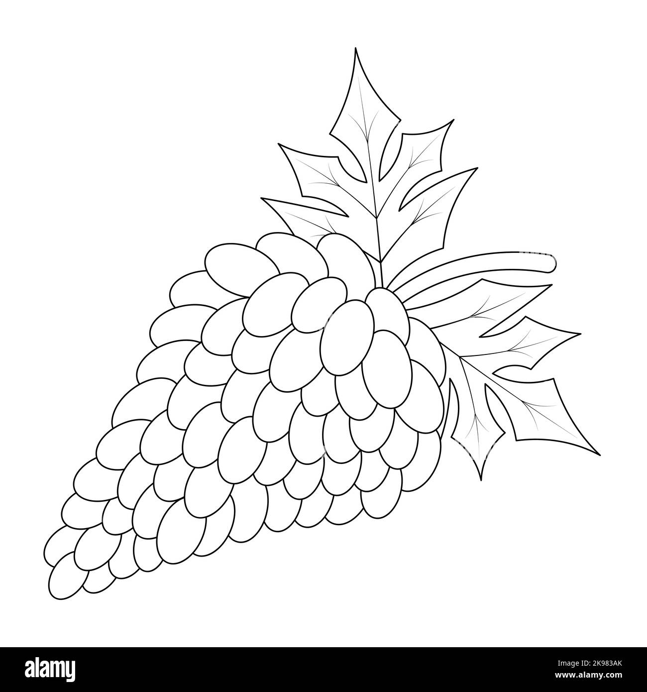 Bunch of grapes. A sprig of juicy berries. Foliage with veins Vector ...