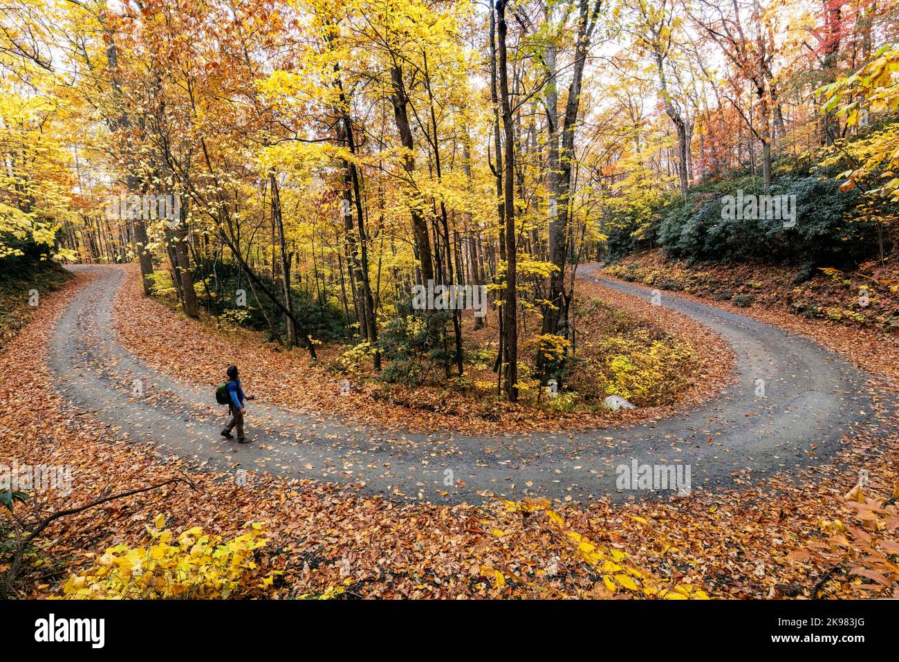Person hiking down winding gravel road through vibrant fall foliage in ...
