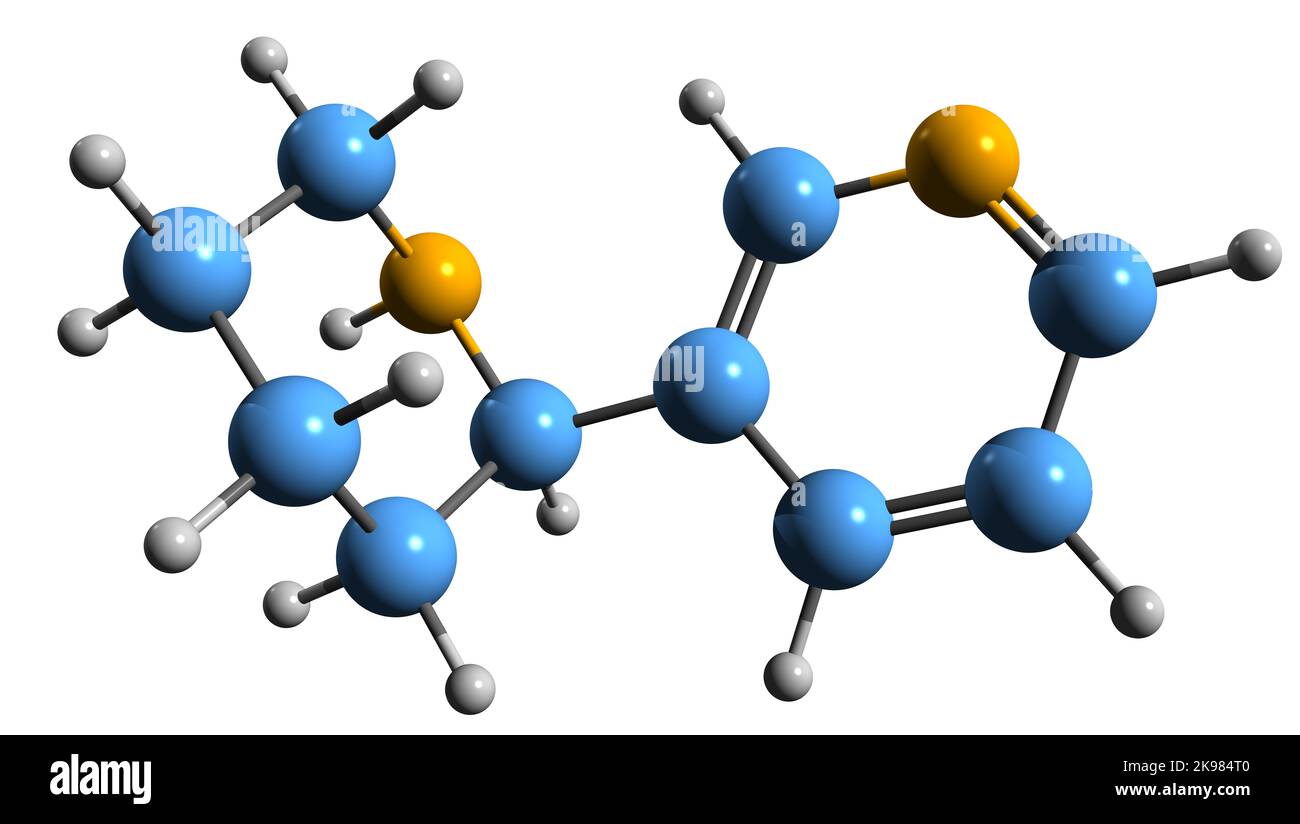 3D image of Anabasine skeletal formula - molecular chemical structure ...