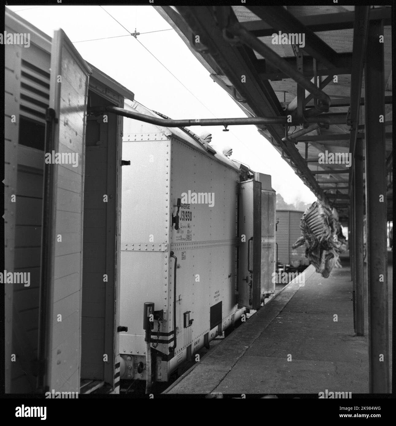 Refrigerated rail hi-res stock photography and images - Alamy