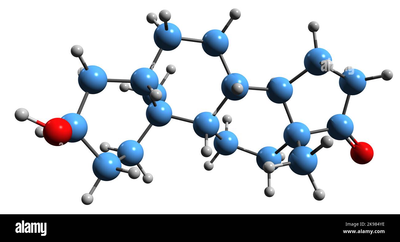 3D image of Androsterone skeletal formula - molecular chemical ...