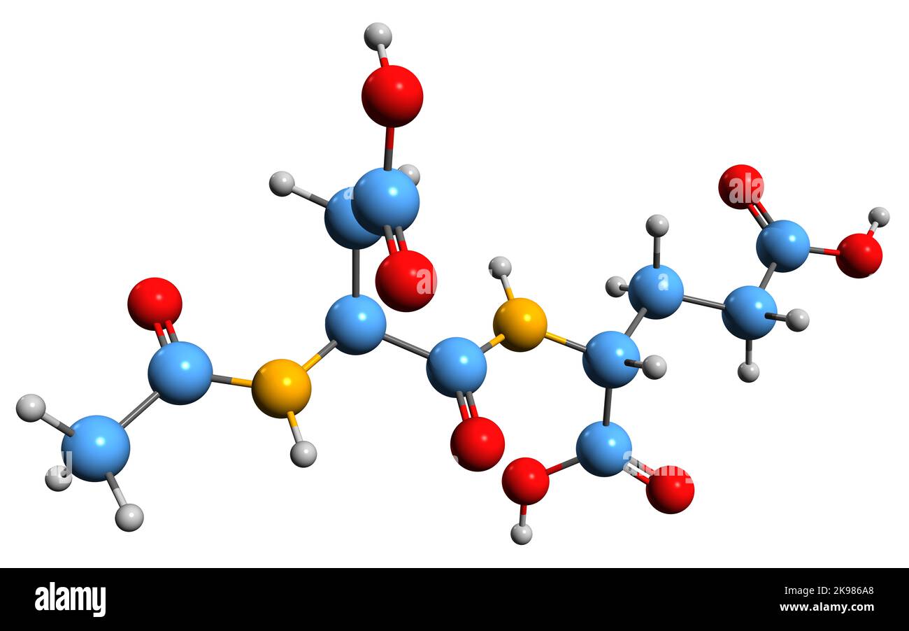 3D image of N-Acetylaspartylglutamic acid skeletal formula - molecular ...