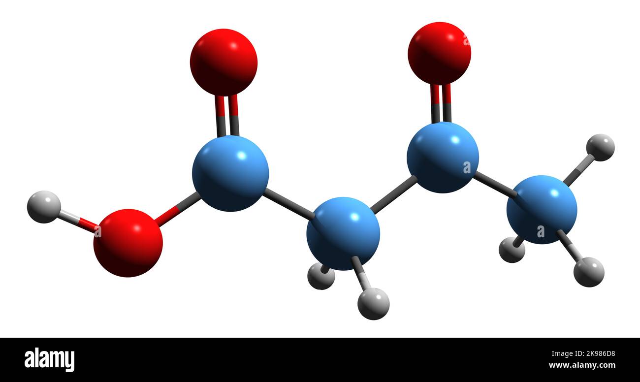 3D image of Acetoacetic acid skeletal formula - molecular chemical structure of acetoacetate ...