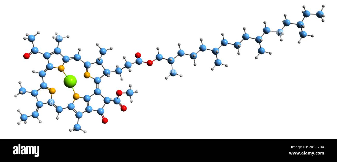 3D image of Bacteriochlorophyll b skeletal formula - molecular chemical ...