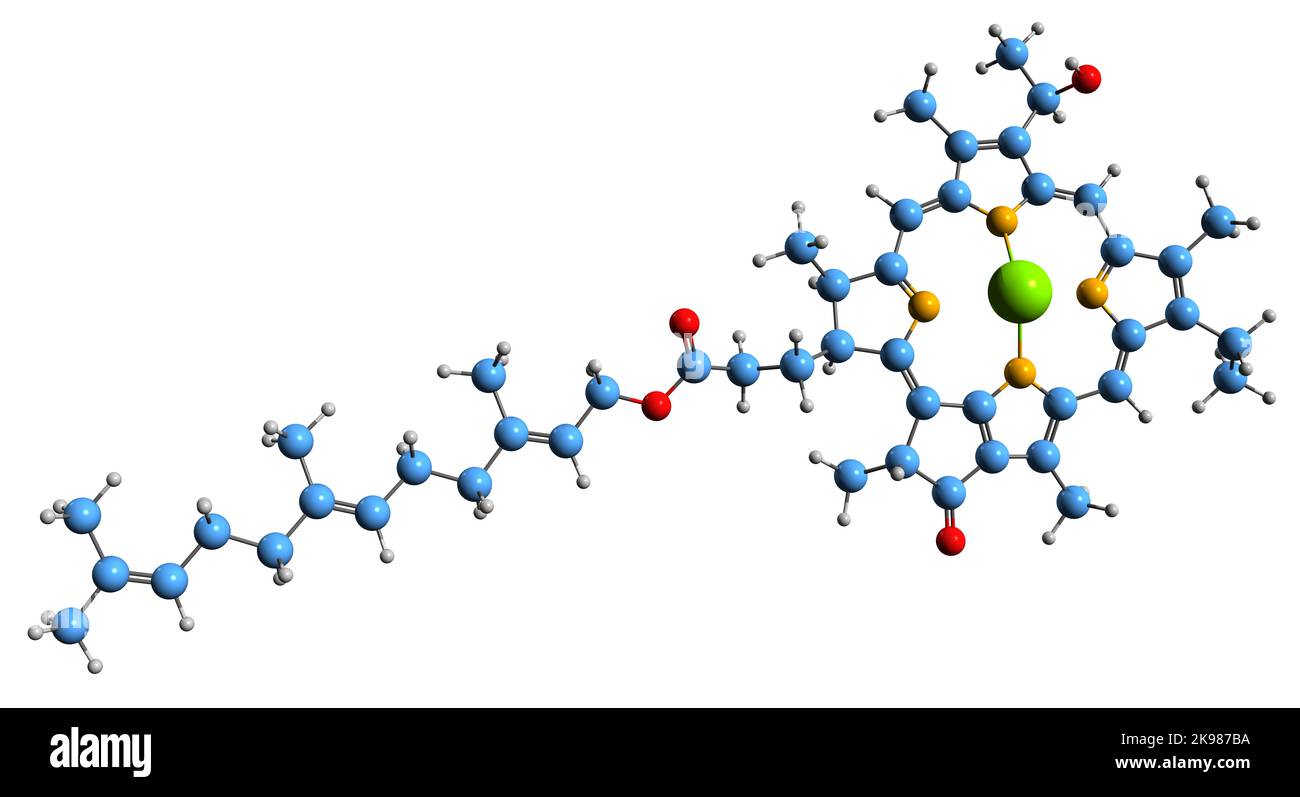 3D image of Bacteriochlorophyll d skeletal formula - molecular chemical ...