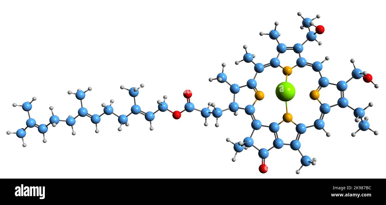 3D image of Bacteriochlorophyll e skeletal formula - molecular chemical ...