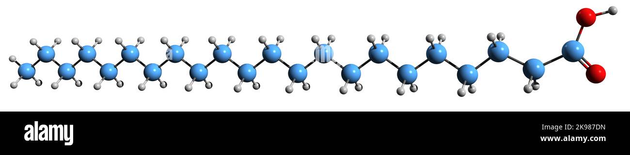 3D image of Behenic acid skeletal formula - molecular chemical ...