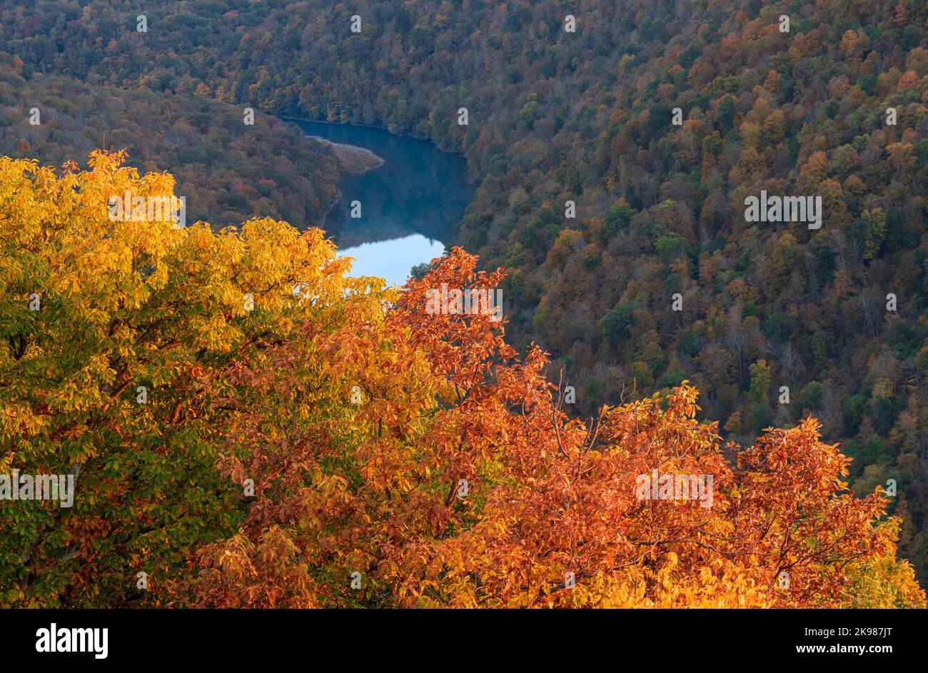 Setting sun sheds warm light illuminating the fall colors of the trees ...