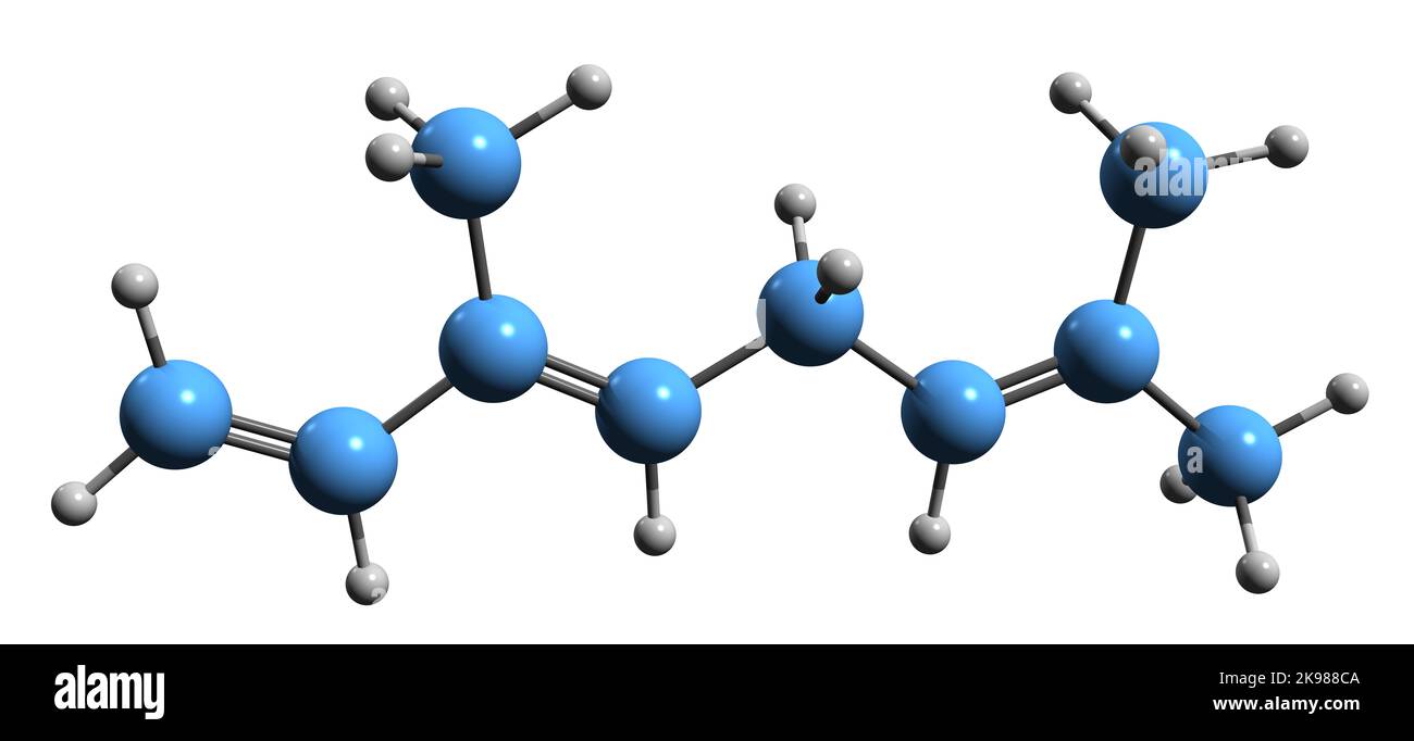 3D image of Ocimene skeletal formula - molecular chemical structure of ...