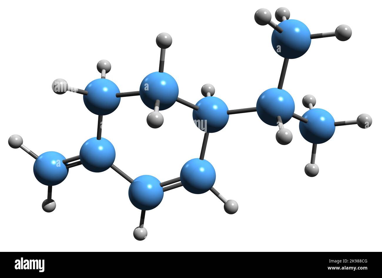 3D image of Phellandrene skeletal formula - molecular chemical ...