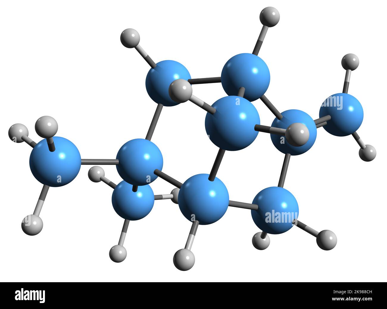 3D image of beta-fenchene skeletal formula - molecular chemical ...