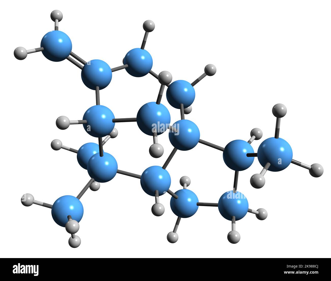 3D image of beta-cedren skeletal formula - molecular chemical structure ...