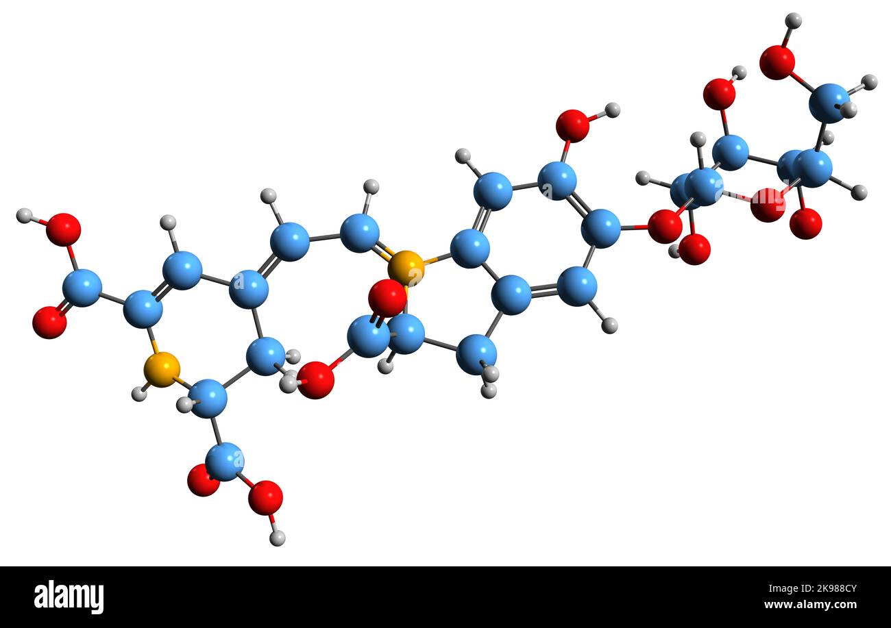 Betalain hi-res stock photography and images - Alamy