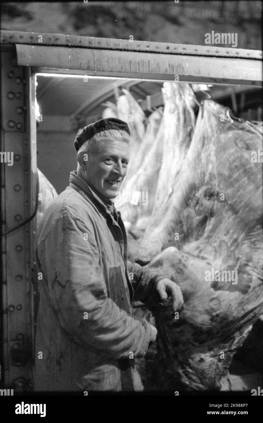Refrigerated meat train hi-res stock photography and images - Alamy