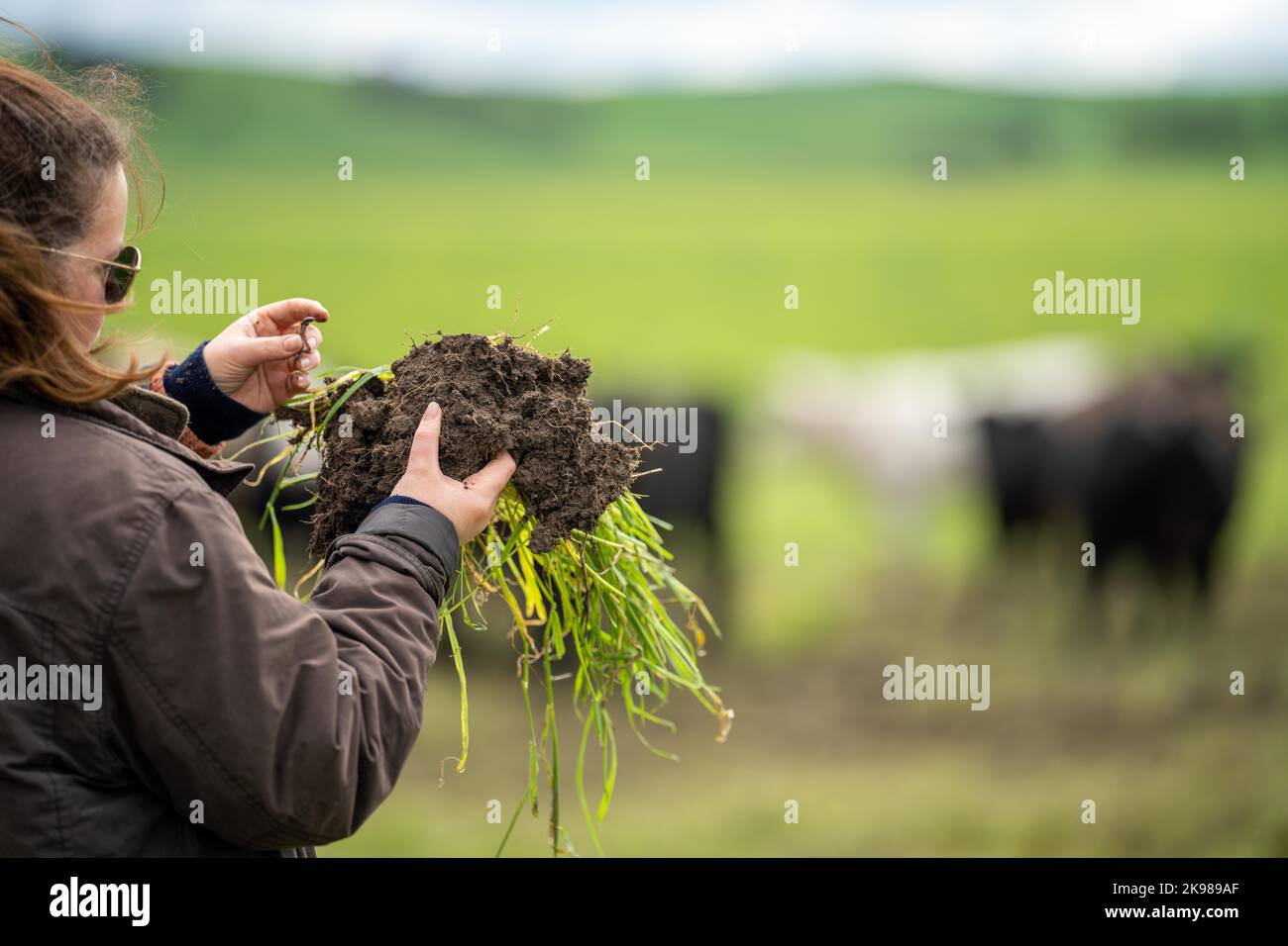 women in agriculture working on a ranch in America. Soil scientist ...