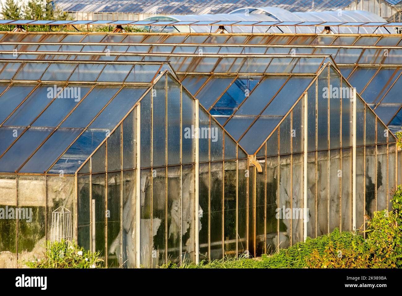 Several glass greenhouses hi-res stock photography and images - Alamy