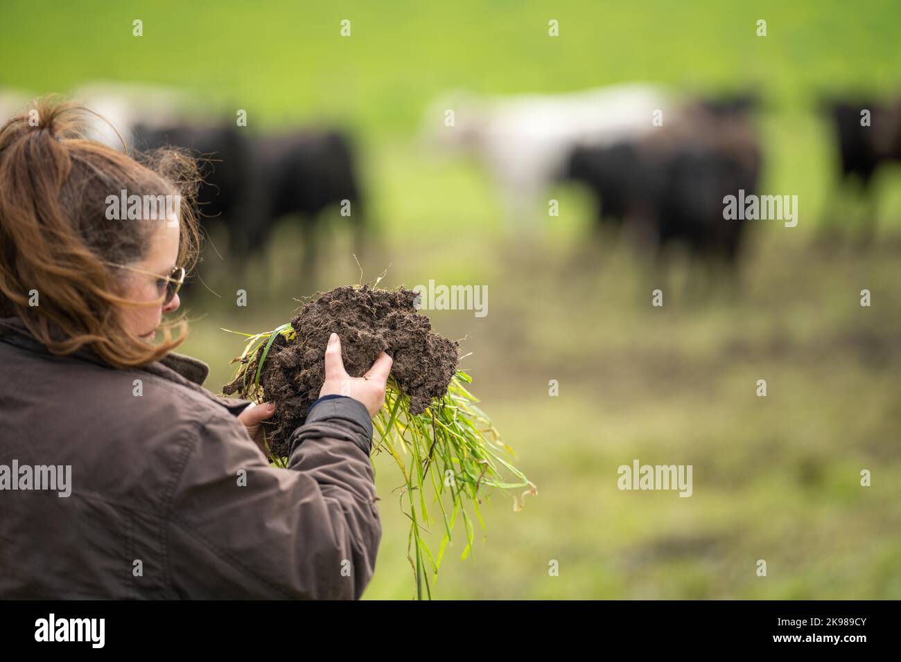 girl holding a soil sample on a farm in Australia Stock Photo - Alamy