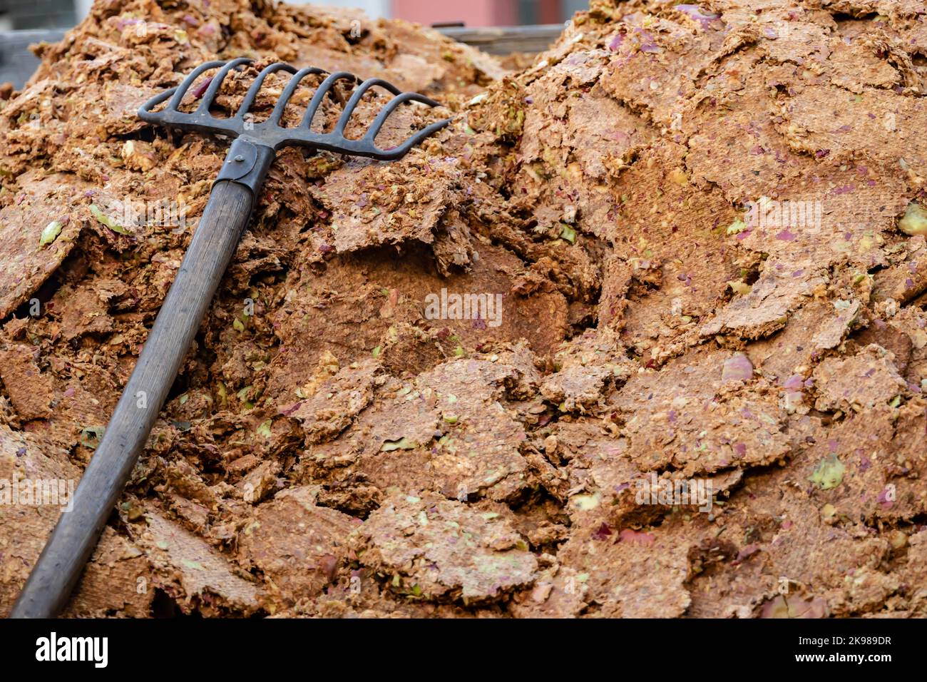 Pressed apple pomace with an agricultural fork in detail Stock Photo ...