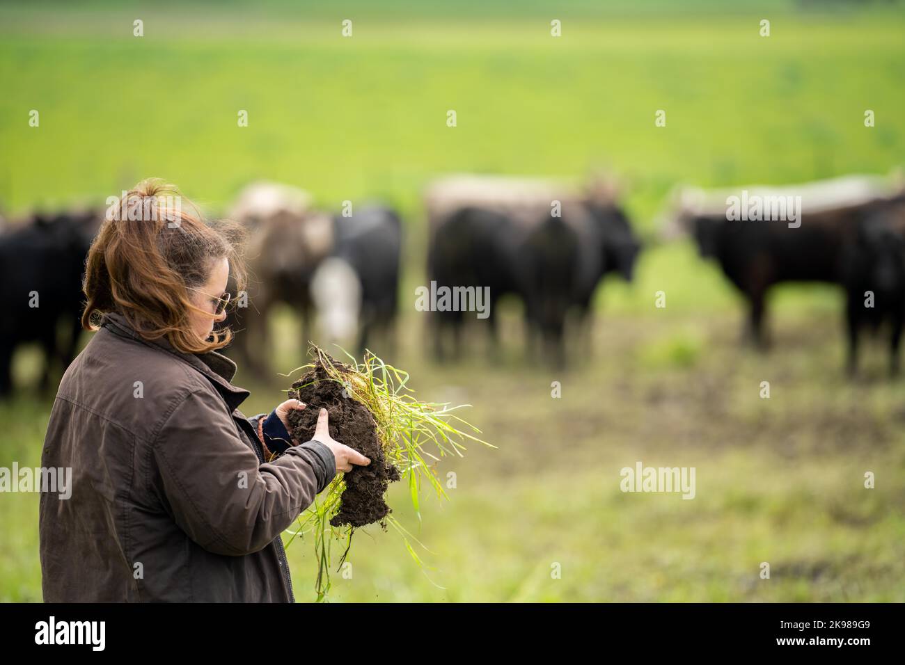 female farmer testing soil on a farm Stock Photo - Alamy