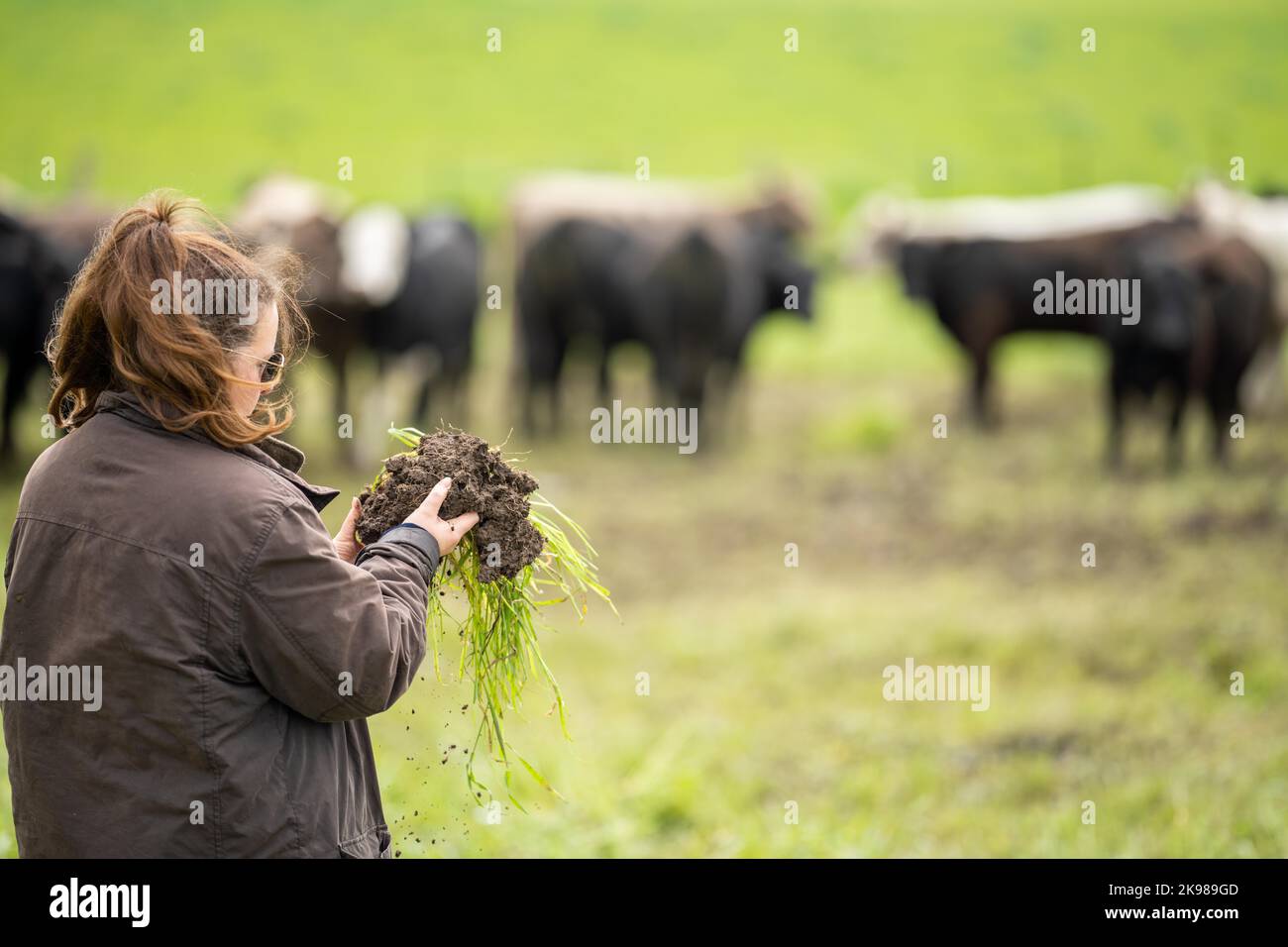 Girl studying a soil and plant sample in field. scientist in a paddock ...