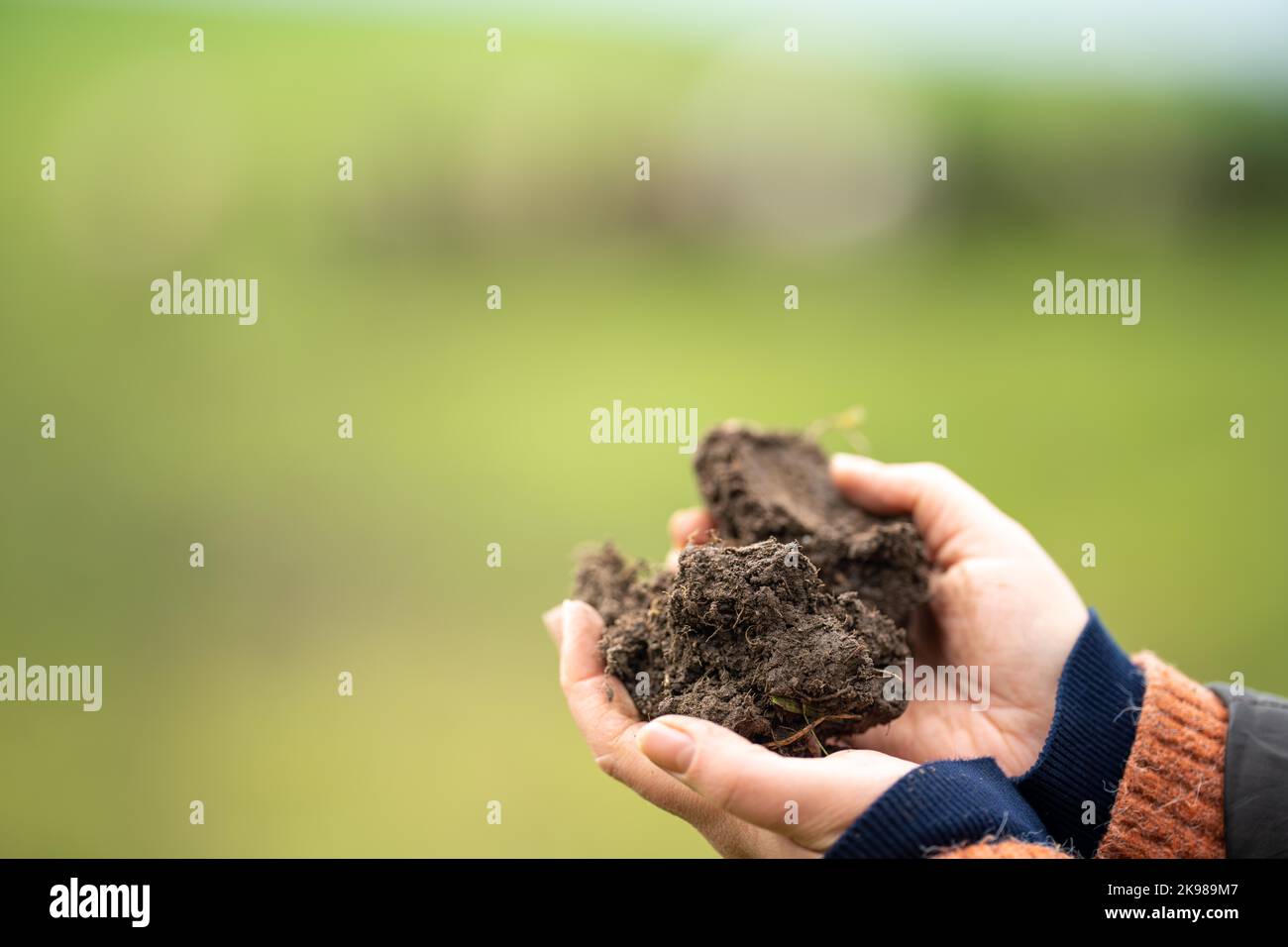Sample lab japan hi-res stock photography and images - Alamy