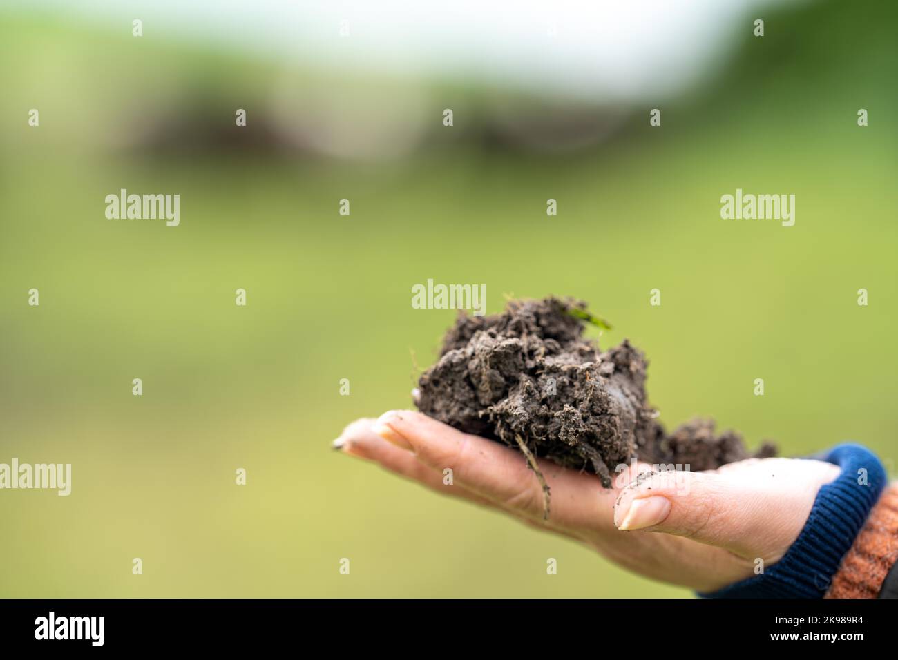 girl holding a soil sample on a farm in Australia Stock Photo - Alamy