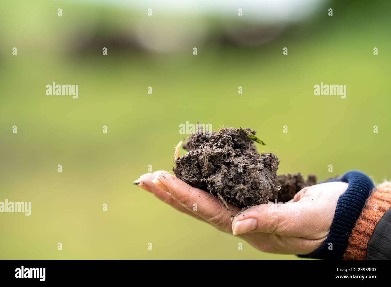 hands holding soil on a farm in australia Stock Photo - Alamy