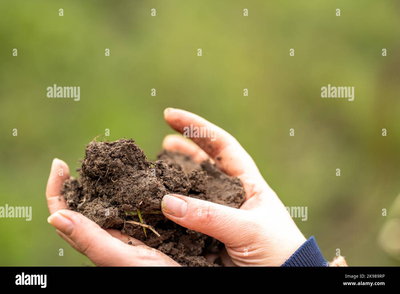 women in agriculture working on a ranch in America. Soil scientist ...