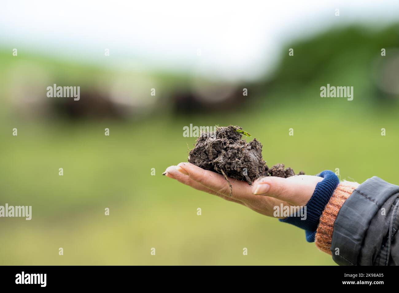 Girl studying a soil and plant sample in field. scientist in a paddock ...