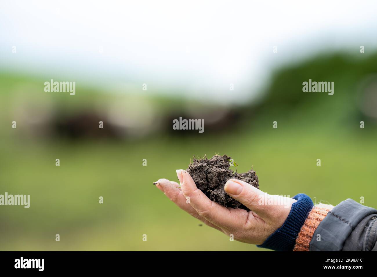women in agriculture working on a ranch in America. Soil scientist ...