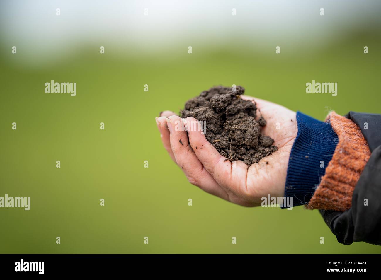 women in agriculture working on a ranch in America. Soil scientist ...