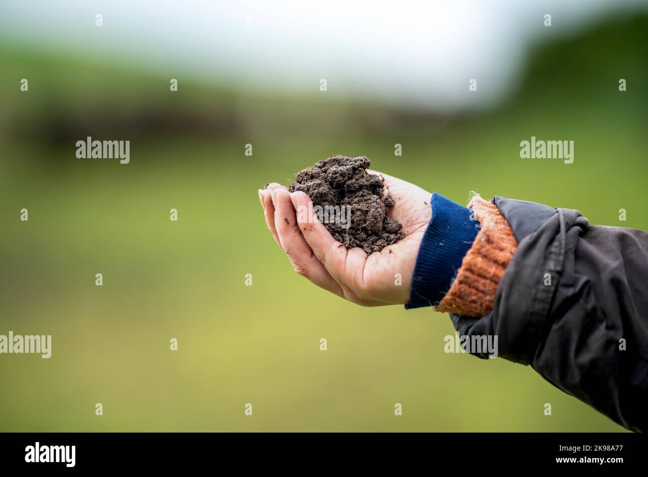 Girl studying a soil and plant sample in field. scientist in a paddock ...