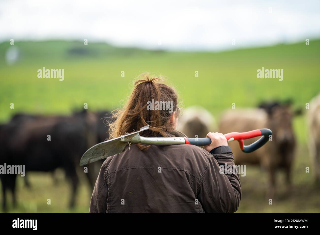 girl holding a soil sample on a farm in Australia Stock Photo - Alamy