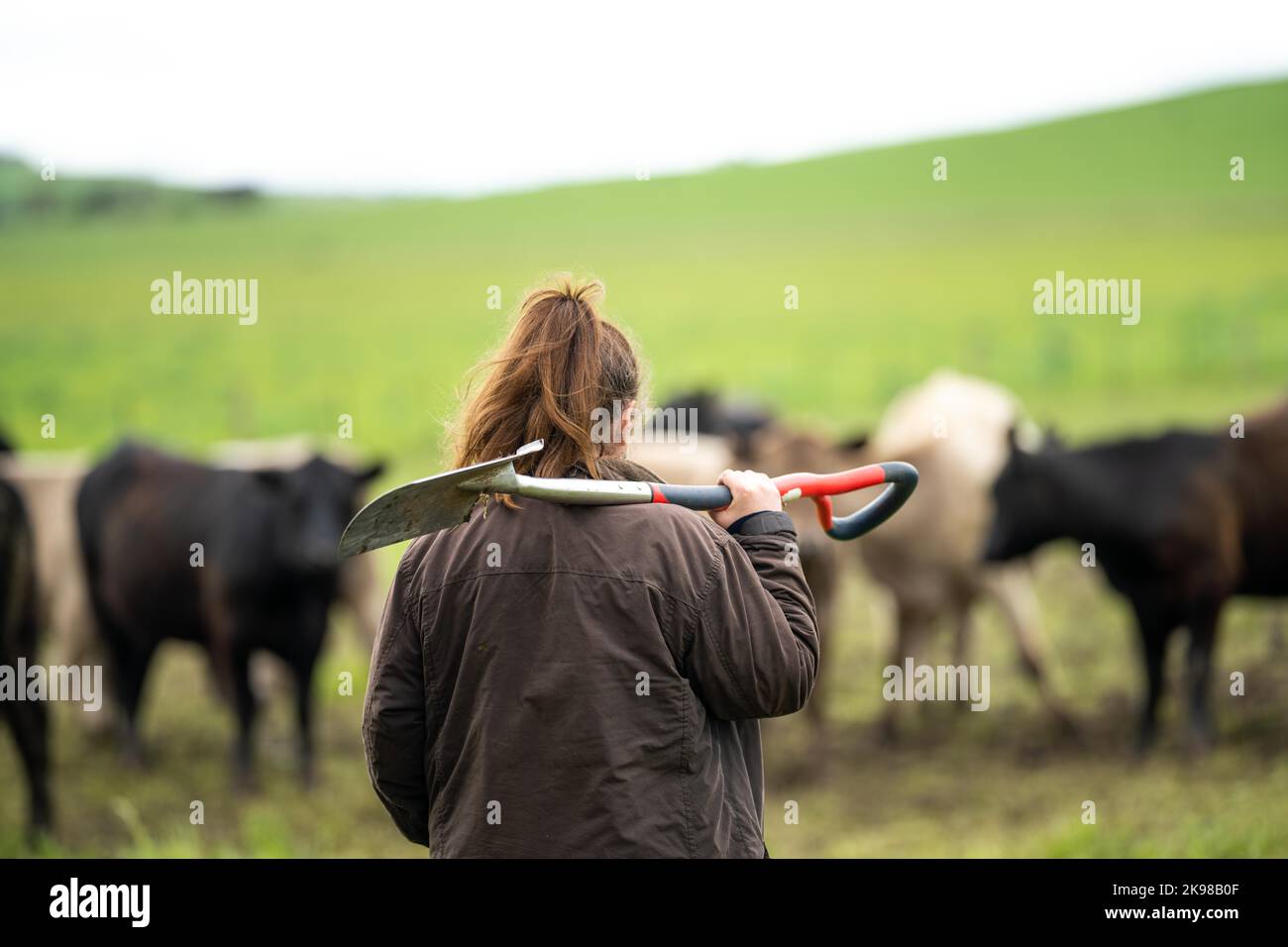 female farmer testing soil on a farm Stock Photo - Alamy
