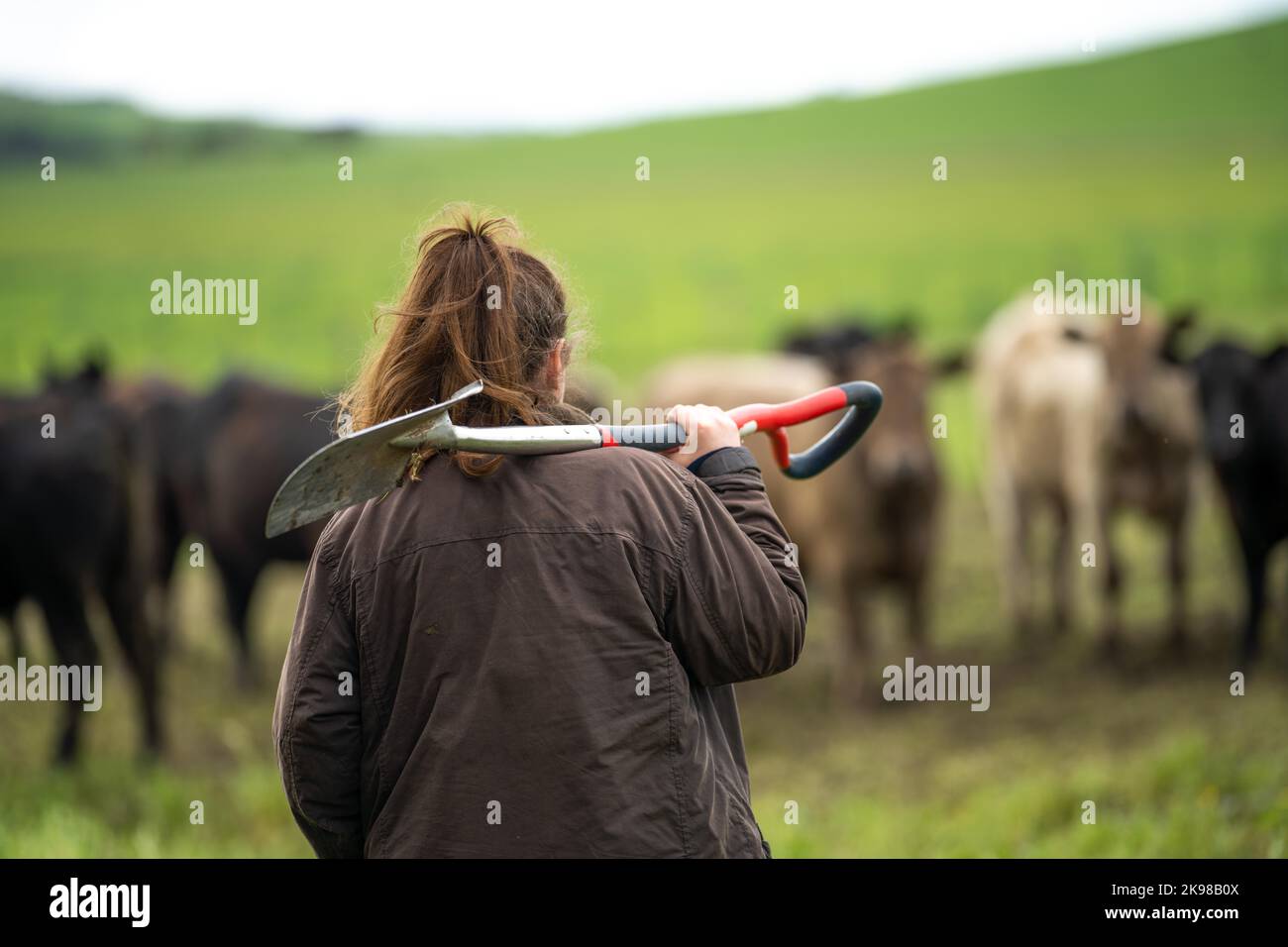 Girl studying a soil and plant sample in field. scientist in a paddock ...