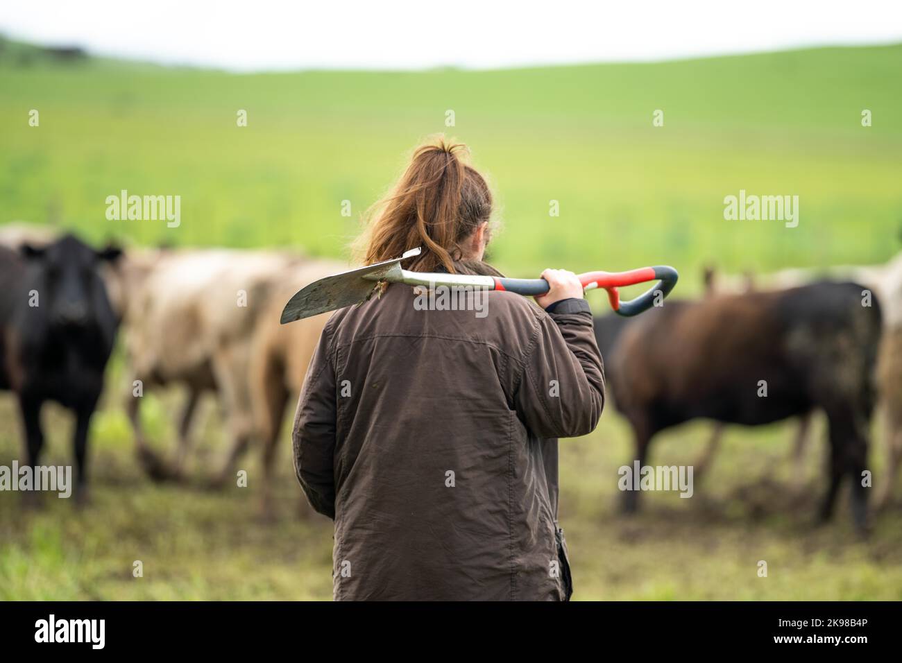 girl holding a soil sample on a farm in Australia Stock Photo - Alamy