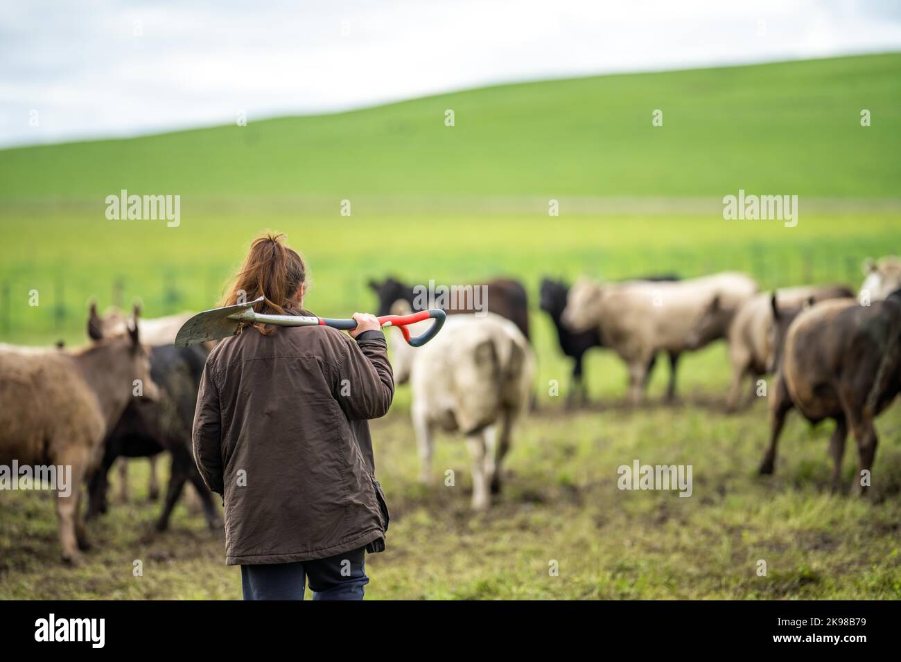 Girl studying a soil and plant sample in field. scientist in a paddock ...