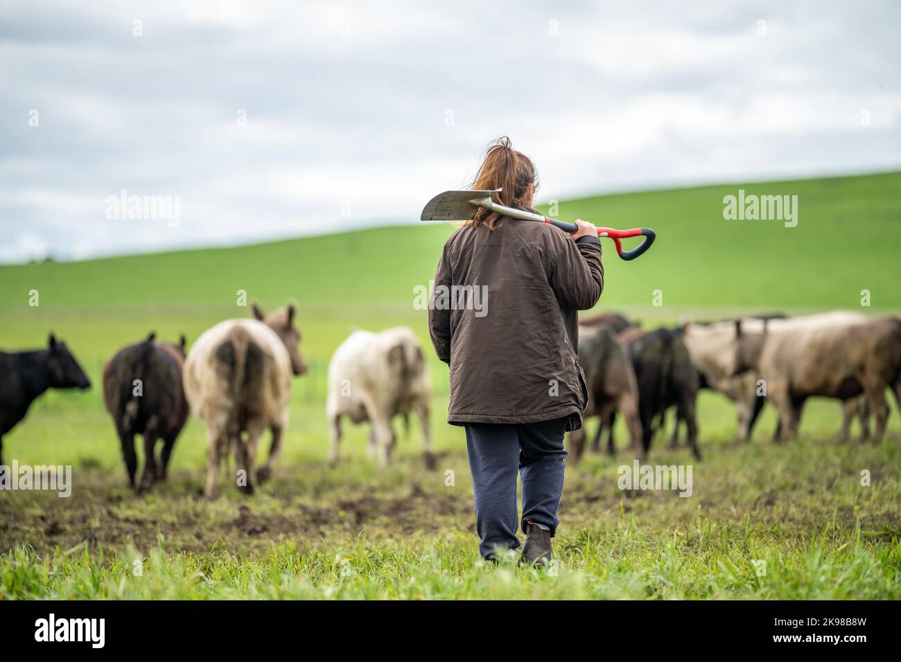 female farmer testing soil on a farm Stock Photo - Alamy