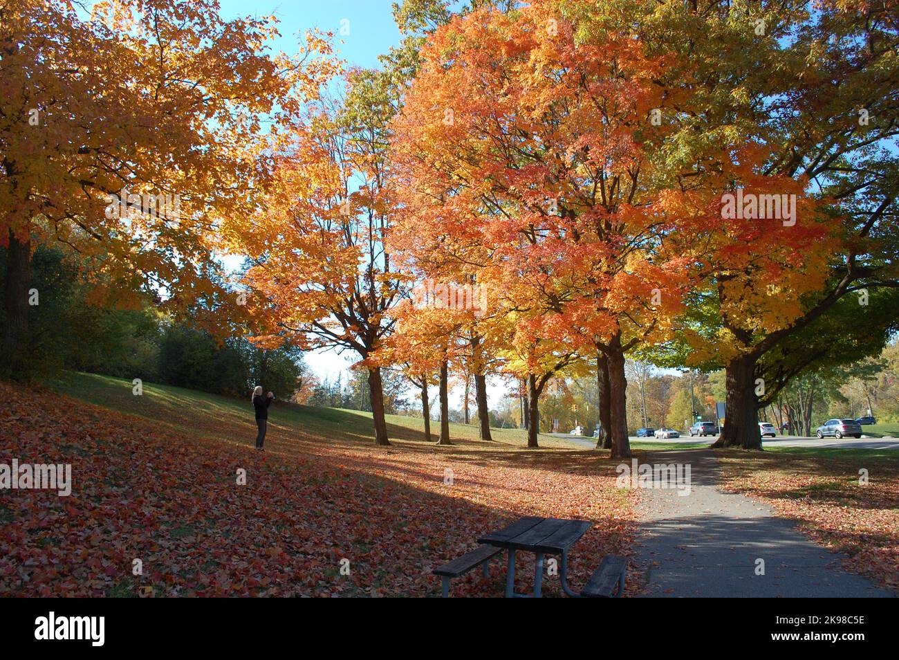 Fall in Michigan Stock Photo - Alamy