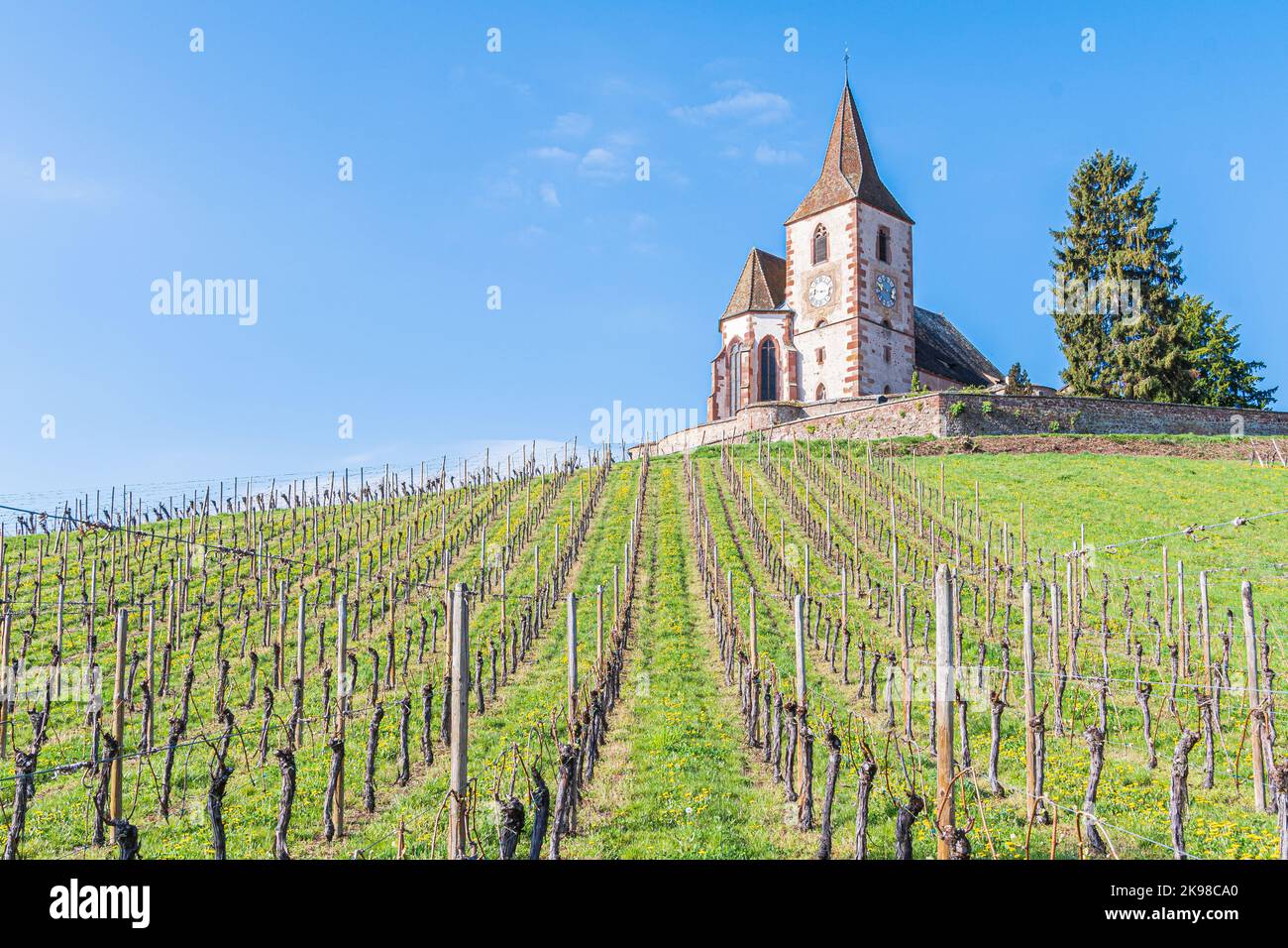 Medieval wine making hi-res stock photography and images - Alamy