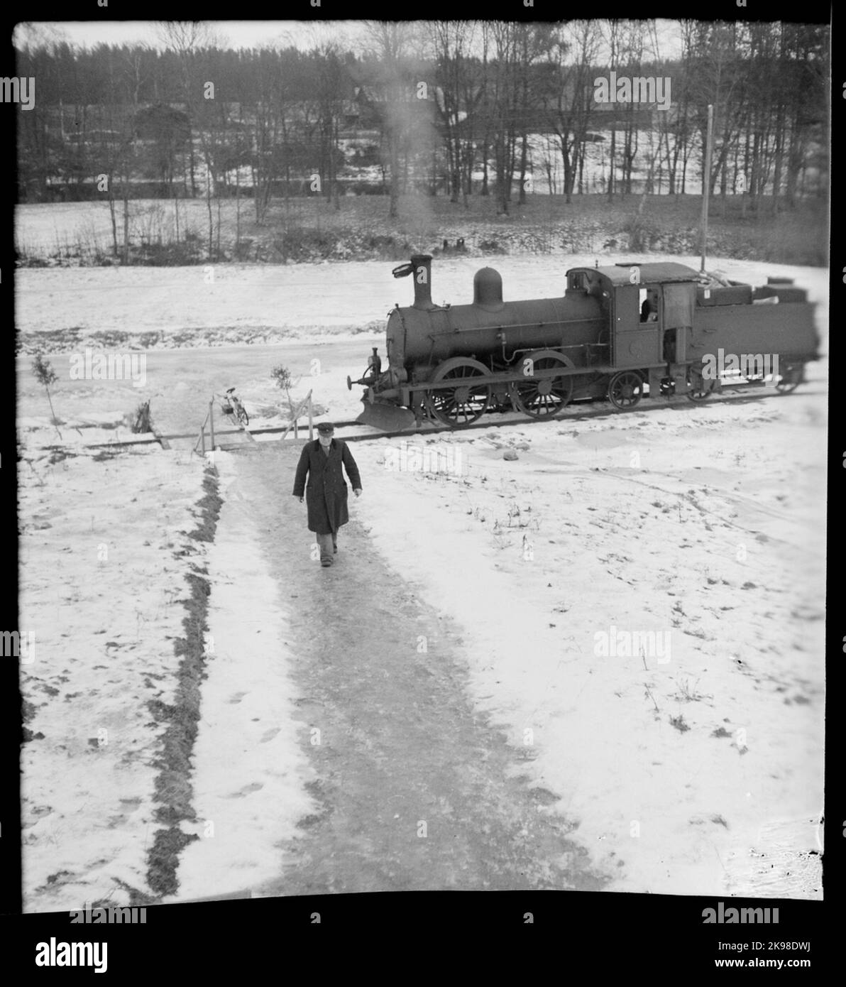 Steam locomotive with wood burning Stock Photo - Alamy