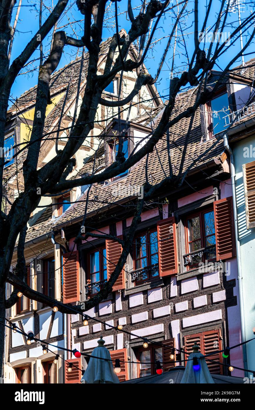 Traditional old alsatian house with a tree in Strasbourg in Alsace in ...