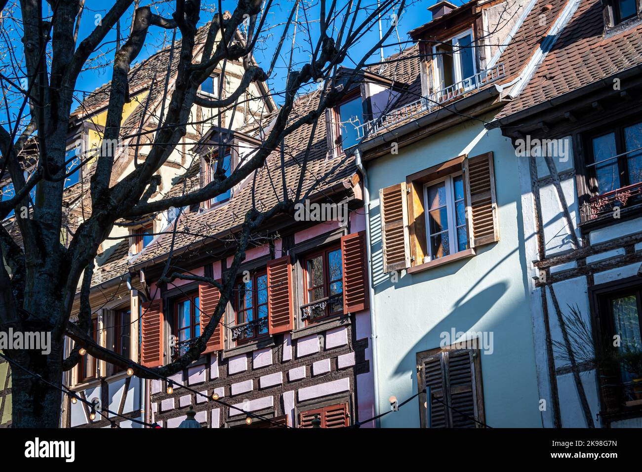 Traditional old alsatian house with a tree in Strasbourg in Alsace in ...
