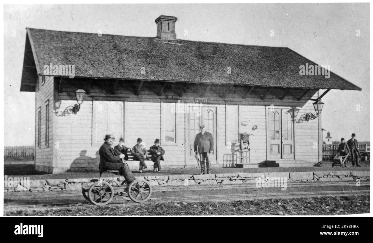 The tree station Stock Photo - Alamy