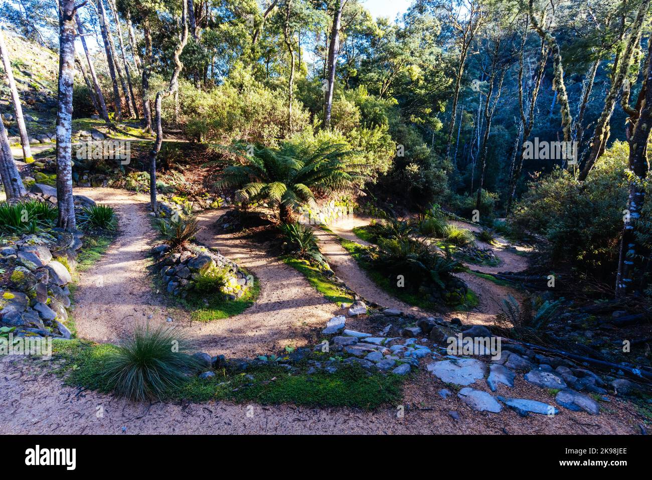 Blue Derby Bike Network Tasmania Australia Stock Photo - Alamy