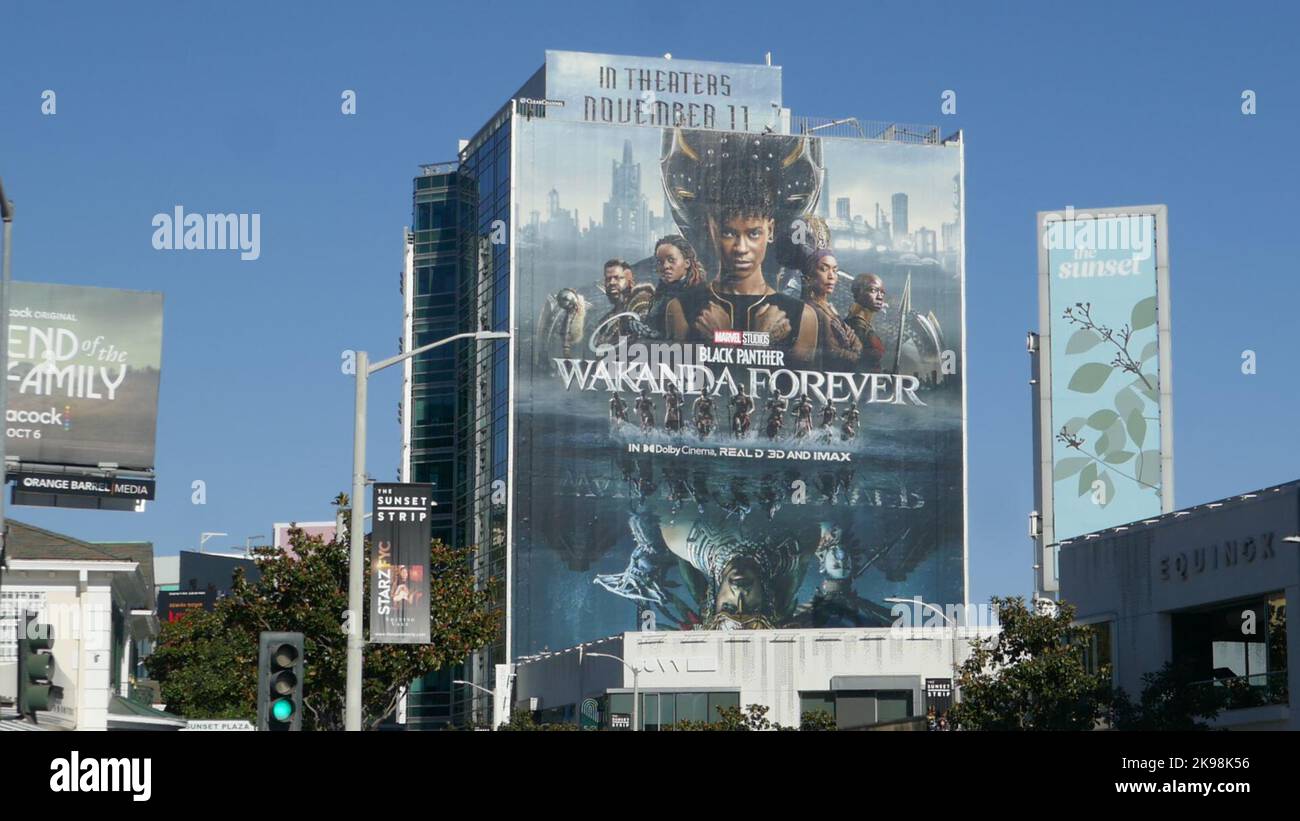 Los Angeles, California, USA 24th October 2022 Marvel Studios Black ...