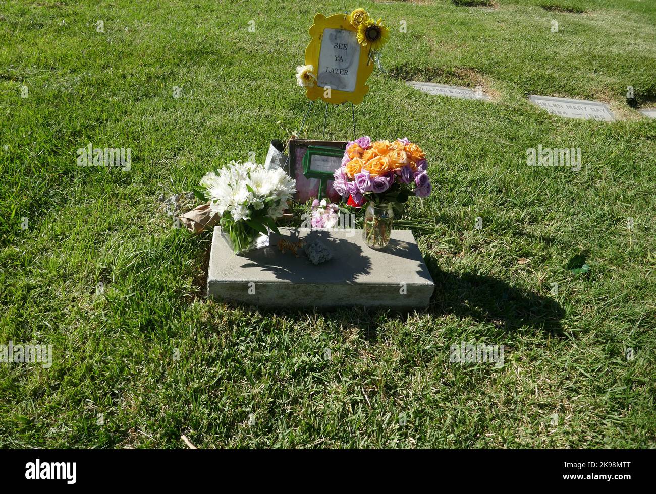 Los Angeles, California, USA 25th October 2022 A general view of ...